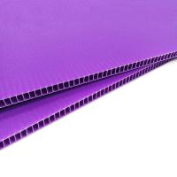 China Purple 12mm PP Corrugated Sheet Polypropylene Corrugated Plastic Sheet for sale