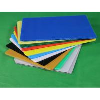 China Blue Polypropylene Hollow Sheets 2000*1000 PP Corrugated Board for sale