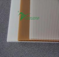 China Sealed 1200x1000 Chloroplast Sheets Coroplast Fluted Polypropylene Sheet for sale