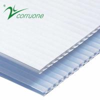 China Chloroplast PP Corrugated Sheet Fluted Polypropylene Plastic Cardboard for sale