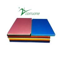 China PP Corrugated Plastic Sheets 4x8 Corrugated Cartonplast Recycled Board 4mm Thick for sale