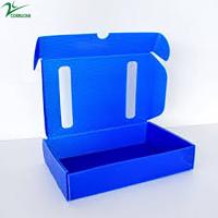 China Okra Folding PP Carton Box Correx Storage Corrugated PP Box for sale