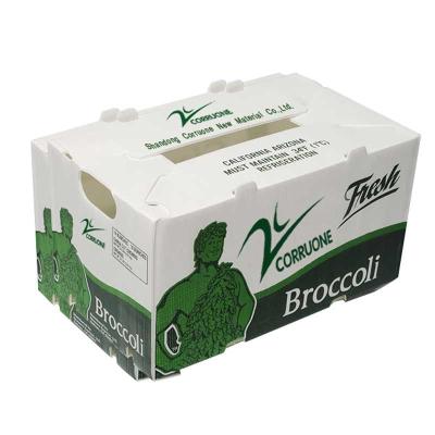 China Customized Fruit and Vegetable Packaging Corrugated Plastic Box Corrugated Storage PP Packing Boxes for sale