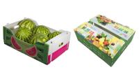China Customized Fruit and Vegetable Packaging Corrugated Plastic Box Corrugated Storage PP Packing Boxes for sale