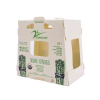 China 5mm 6mm Reusable Corrugated Plastic Boxes Recyclable UV Coating for sale