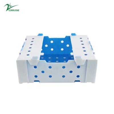 China Corrugated Plastic Produce Boxes Stackable Twinwall PP Cartonplast 600x400mm for sale