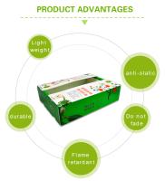 China Corrugated Plastic Produce Boxes Stackable Twinwall PP Cartonplast 600x400mm for sale