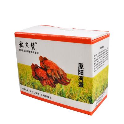 China Corruone Collapsible PP Corrugated Plastic Danpla Box Polypropylene Plastic Sheet Crates Corrugated Storage box for sale