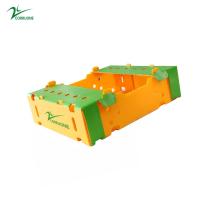 China Corruone Collapsible PP Corrugated Plastic Danpla Box Polypropylene Plastic Sheet Crates Corrugated Storage box for sale