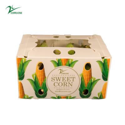 China 1.5mm-30mm PP Corrugated Plastic Packaging Boxes White Green Blue for sale