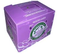China Custom PP Plastic Box for Fresh Ginger Storage 500x270x270mm 13.6kg Capacity for sale