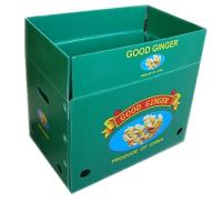China Custom PP Plastic Box for Fresh Ginger Storage 500x270x270mm 13.6kg Capacity for sale