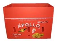 China Custom PP Plastic Box for Fresh Ginger Storage 500x270x270mm 13.6kg Capacity for sale