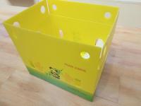 China Custom PP Plastic Box for Fresh Ginger Storage 500x270x270mm 13.6kg Capacity for sale