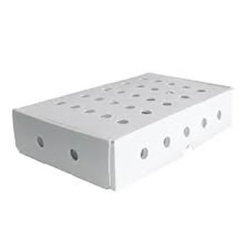 China Corrugated PP Plastic Seafood Box 5kg 10kg Custom Waterproof Frozen Meat Packaging for sale
