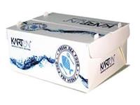 China Corrugated PP Plastic Seafood Box 5kg 10kg Custom Waterproof Frozen Meat Packaging for sale