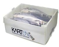 China Corrugated PP Plastic Seafood Box 5kg 10kg Custom Waterproof Frozen Meat Packaging for sale