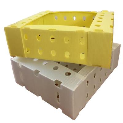 China Customized Folding Corrugated Plastic Boxes 2-10mm PP Fruit Vegetable Packaging for sale