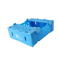 China Customized Folding Corrugated Plastic Boxes 2-10mm PP Fruit Vegetable Packaging for sale