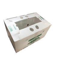 China Customized Folding Corrugated Plastic Boxes 2-10mm PP Fruit Vegetable Packaging for sale
