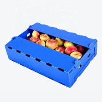 China Customized Folding Corrugated Plastic Boxes 2-10mm PP Fruit Vegetable Packaging for sale