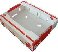 China Spinach Corrugated Plastic Produce Boxes 2mm Corflute Storage Boxes for sale