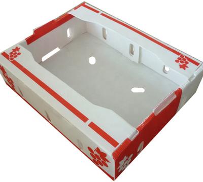 China Spinach Corrugated Plastic Produce Boxes 2mm Corflute Storage Boxes for sale