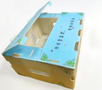 China Coroplast Board 4x8ft Corrugated Plastic Sheet for Packaging and Signage for sale