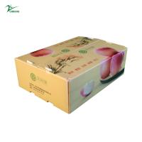 China Twinwall PP Corrugated Box Food Grade Corflute Container 500x270x270mm 13.6kg Capacity for sale