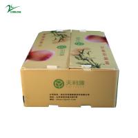 China Twinwall PP Corrugated Box Food Grade Corflute Container 500x270x270mm 13.6kg Capacity for sale