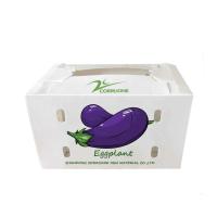 China PP Corrugated Plastic Box 500x270x270mm 3.5mm Thickness for Fruit Vegetable Packaging for sale
