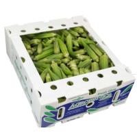 China OEM Corflute Fresh Ginger Box Folding Corrugated Plastic Box for sale