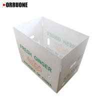 China OEM Corflute Fresh Ginger Box Folding Corrugated Plastic Box for sale