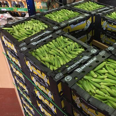 China Recyclable Thermal Insulation Packaging Box for Fruits Vegetables Food Grade PP 600x400mm for sale