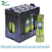 China Recyclable Thermal Insulation Packaging Box for Fruits Vegetables Food Grade PP 600x400mm for sale