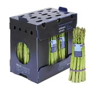 China Recyclable Thermal Insulation Packaging Box for Fruits Vegetables Food Grade PP 600x400mm for sale