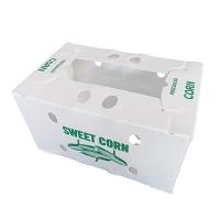 China PP Corrugated Plastic Box 500x270x270mm 13.6kg Capacity for Fruit and Vegetable Packaging for sale
