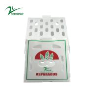 China PP Corrugated Plastic Box 500x270x270mm 13.6kg Capacity for Fruit and Vegetable Packaging for sale