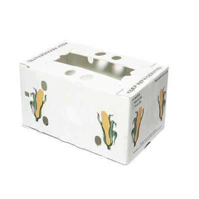 China New 2023 PP Corrugated Plastic Box for Vegetable and Fruit Box for sale