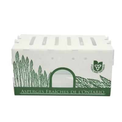 China PP Corrugated Plastic Box for Vegetable and Fruit Box Corn broccoli  and Agriculture Packing box for sale