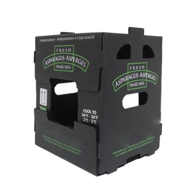 China Recyclable Thermal Insulation Packaging Box 600x400mm Food Grade Polypropylene for sale