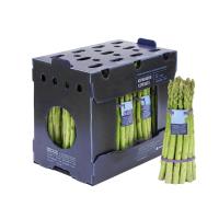 China Recyclable Thermal Insulation Packaging Box 600x400mm Food Grade Polypropylene for sale