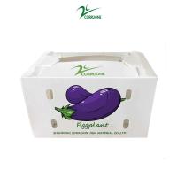 China Reusable PP Corrugated Plastic Box 500x270x270mm for Egg Flour Packaging for sale