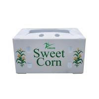 China Reusable PP Corrugated Plastic Box 500x270x270mm for Egg Flour Packaging for sale