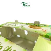 China New 2023 PP Corrugated plastic box Vegetable box cauliflower box for sale