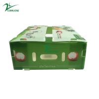 China Recyclable Thermal Insulation Packaging Box for Fruits Vegetables 100L Food Grade PP for sale