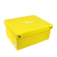 China Thermal Insulation Vegetable Corrugated Boxes Yellow Hollow Board Box for sale