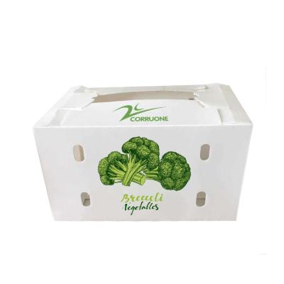China New 2023 PP Corrugated plastic box Vegetable box cauliflower box for sale