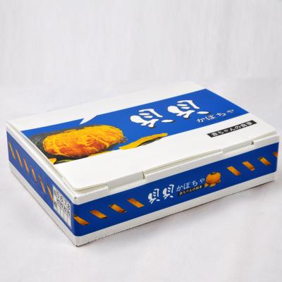 China PP Corrugated Plastic Box 500x270x270mm Waterproof Reusable Vegetable Fruit Box for sale