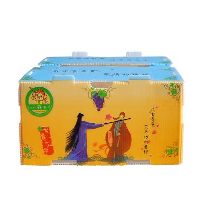 China PP Corrugated Plastic Vegetable Box 500x270x270mm Waterproof Reusable Shipping Box for sale